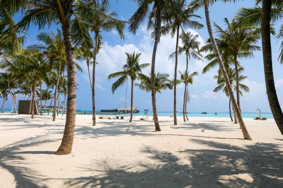 Netball Team Trip Planning | Team Trips