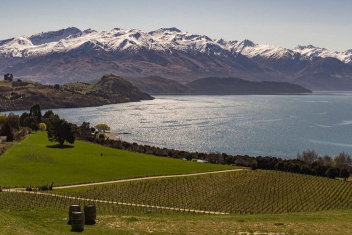 Top Wanaka Attractions | Team Trips
